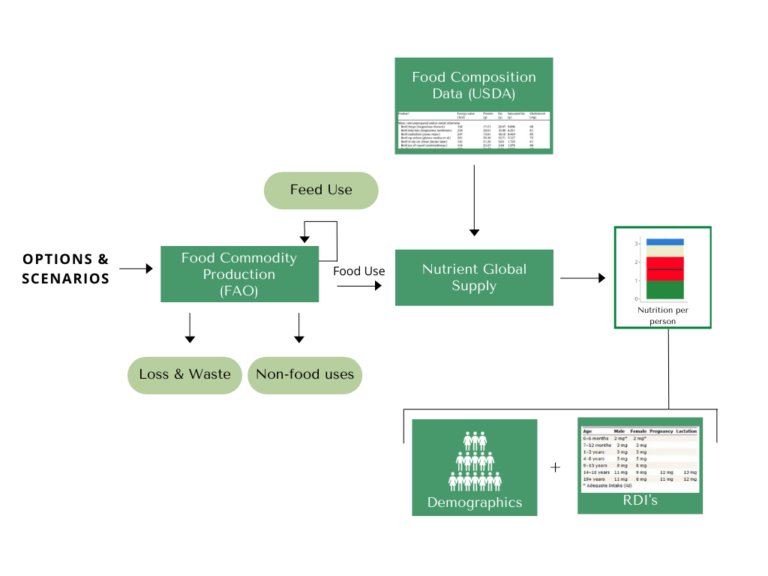 Models & Tools - Sustainable Nutrition Initiative®