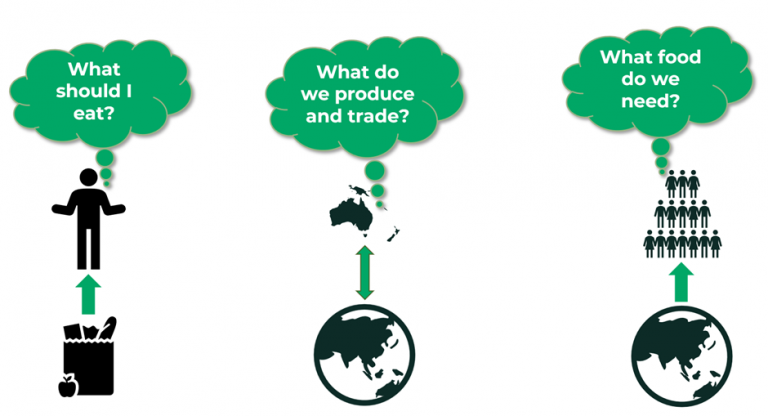 Three scales and four aspects of sustainable food systems - Sustainable ...