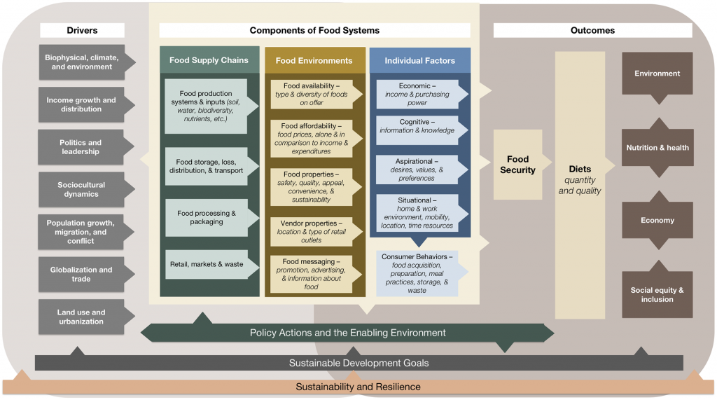 Diagnosing food system performance - Sustainable Nutrition Initiative®