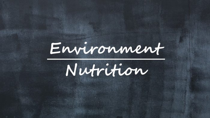 Protein quality as a nutritional functional unit: new insights and ...
