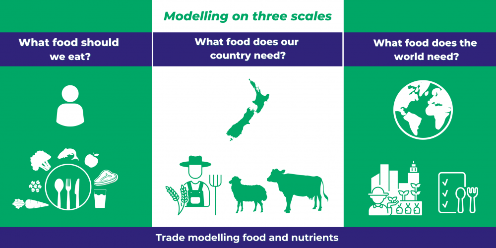 Our Work - Sustainable Nutrition Initiative®